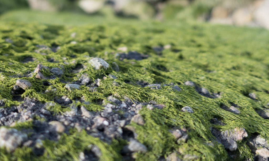 Time-saving PHP PDO Code Generator - MWoodruff Design